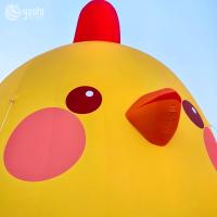 China Custom Outdoor Inflatable Decorations 2-8 Meters with LED Lighting for Theme Parks and Events for sale
