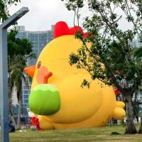 China Custom Outdoor Inflatable Decorations 2-8 Meters with LED Lighting for Theme Parks and Events for sale