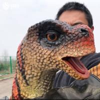 China Lifelike Baby Dinosaur Puppet with Rust-Proof Steel Frame - Custom Sizes Available for Theme Parks and Educational Displays for sale