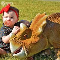 China Customizable Lifelike Dinosaur Baby Model with Steel Frame - CE Certified for Theme Parks & Education for sale