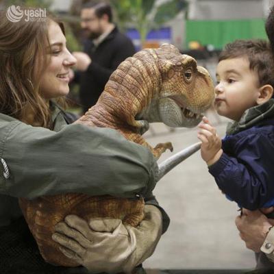 China Multi-Layer Silicone Realistic Dinosaur Sculpture with Steel Frame - Custom Sizes Available for Theme Parks & Museums for sale