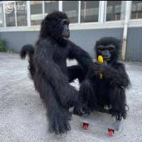 China Large Realistic Animal Sculpture 2-10 Meters with Animated Movements and Sound Effects for Amusement Parks for sale