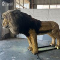 China Realistic Lion Sculpture Model 210CM with Movable Features and Sound Effects for Park Decoration for sale