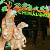 China Traditional Chinese Festival Lantern 220CM for Outdoor Light Shows and Displays for sale