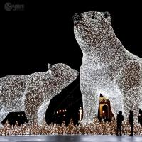 China Customizable Outdoor Reindeer LED Lights for Christmas and New Year Festivities for sale