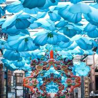 China Zigong Flower Lantern Passage Lighting - Custom 10-100m² Outdoor Festival Decor with 50,000+ Hour LED Lights for sale