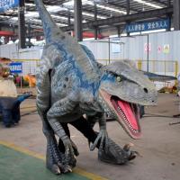 China Walking Velociraptor Animatronic Costume with Customizable Size and CE Certification for Theme Parks and Events for sale