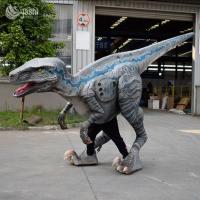 China Walking Velociraptor Animatronic Costume with Customizable Size and CE Certification for Theme Parks and Events for sale