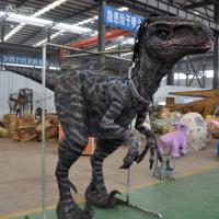 China Walking Velociraptor Animatronic Costume with Customizable Size and CE Certification for Theme Parks and Events for sale