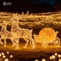 China Custom LED Reindeer & Sleigh Light Sculpture, Outdoor Waterproof Christmas Motif Light for Mall & Park Decor for sale