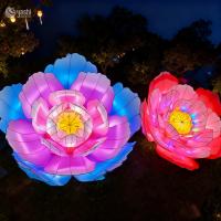China LED Peony Lantern Device - Night Garden Colorful Floral Butterfly Light Decoration for sale