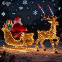 China Santa Sleigh & Reindeer LED Light Sculpture Set, Outdoor Waterproof Christmas Motif Lights for Park & Commercial Light Festival for sale