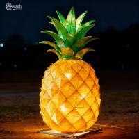 China Fruit-shaped Lanterns Made by Zigong Lantern Manufacturers, for Outdoor Decoration for sale