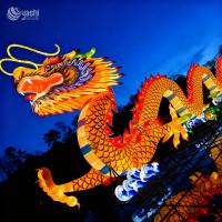 China Traditional Chinese Colorful Dragon Lantern - Outdoor Festival Decorative Lantern for sale