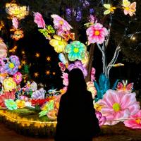 China Colorful Garden Decorative Lanterns, Peony Flower Lanterns for Scene Decoration for sale