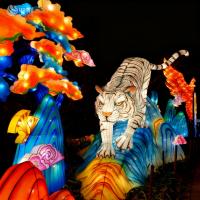 China Zigong Lantern Factory's Tiger Shaped Sculptural Lanterns - Outdoor LED Decorative Lanterns for sale