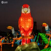 China Chinese Zigong Lantern Manufacturer: Animal Lanterns, Bird Lanterns, Spring Festival Decorative Lanterns for sale