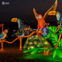 China Chinese Zigong Lantern Manufacturer: Animal Lanterns, Bird Lanterns, Spring Festival Decorative Lanterns for sale