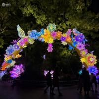China Custom Flower Bird & Butterfly Arch Lantern, Large Walk‑Through Floral Animal LED Light Arch Installation for Park, Garden & Lantern Festival for sale
