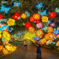 China Chinese New Year Lanterns Flower Theme Decorative Lanterns for Lantern Festival for sale