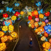 China Chinese New Year Lanterns Flower Theme Decorative Lanterns for Lantern Festival for sale