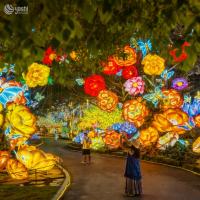 China Chinese New Year Lanterns Flower Theme Decorative Lanterns for Lantern Festival for sale