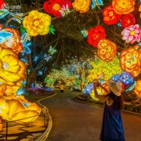 China Chinese New Year Lanterns Flower Theme Decorative Lanterns for Lantern Festival for sale