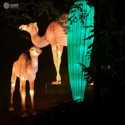 China Custom Desert Camel & Cactus Lantern Set, Realistic Animal LED Light Sculpture for Theme Light Festival for sale