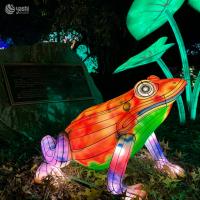 China Handmade Frog LED Lantern - Halloween Valentine Thanksgiving Home Decor for sale