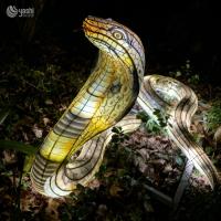 China LED Animal Snake Lantern for Theme Parks - Perfect for Scenic Lighting and Halloween Decorations for sale