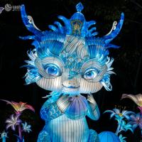China Custom LED Cartoon Dragon Lantern for Zoo and Park Theme Light Shows for sale