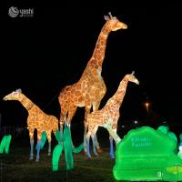 China Animal Theme LED Light Show Sculpture Lantern - Festival Zoo Park Decoration for sale