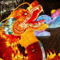 China Custom Giant Chinese Dragon Head Zigong Lantern, Vivid Mythical Dragon LED Light Sculpture with Flame Decor, Waterproof Large Outdoor Festival Light Installation for sale
