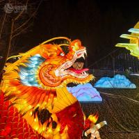 China Custom Giant Chinese Dragon Head Zigong Lantern, Vivid Mythical Dragon LED Light Sculpture with Flame Decor, Waterproof Large Outdoor Festival Light Installation for sale
