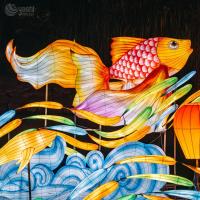 China Wholesale Handmade Fish Lanterns - Festival Party Outdoor Wedding Decorations for sale