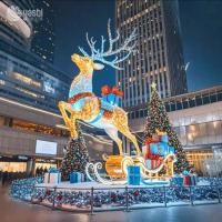 China Customized Outdoor Christmas Deer Lantern Decor - Mall Festival Lighting for Xmas & New Year for sale