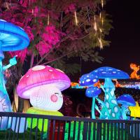 China Handmade Mushroom Garden Lanterns - Event & Wedding Lighting Decor for sale