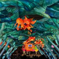 China Custom Lotus Pond Goldfish & Lotus Leaf Walk‑Through Light Tunnel, Oriental Themed Giant Lantern Installation for Cultural Festival for sale