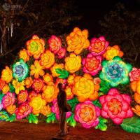 China Custom Giant Mixed Colorful Flower LED Lantern Installation, Large‑Scale Floral Light Sculpture for Grand Park Light Festival for sale