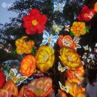 China Custom Giant Mixed Colorful Flower LED Lantern Installation, Large‑Scale Floral Light Sculpture for Grand Park Light Festival for sale
