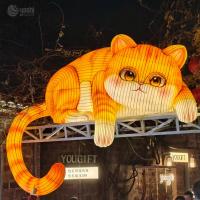 China Waterproof Animal Sculpture Lanterns - Outdoor Commercial Lighting for Plaza & Light Shows for sale