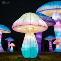 China Colorful Mushroom Lanterns Floral Theme LED Light for Light Festival & Performances for sale