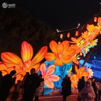 China Custom Pink & Yellow Lotus Lantern With Rockery, Large LED Floral Light Sculpture for Chinese Lantern Festival for sale