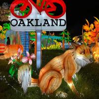 China Realistic Animal-Shaped Festival Lanterns - Durable Outdoor Lighting for Theme Parks & Gardens for sale