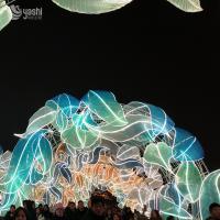 China Commercial-Grade LED Lantern Tunnel: Custom Light Display for Streets/Parks for sale