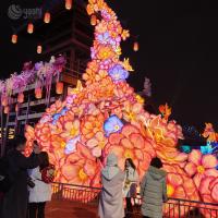 China Chinese Festival Lantern Tunnel Lighting & Decoration Solution for Park & Street Block for sale