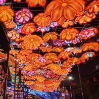 China Chinese Festival Lantern Tunnel Lighting & Decoration Solution for Park & Street Block for sale