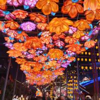 China Chinese Festival Lantern Tunnel Lighting & Decoration Solution for Park & Street Block for sale