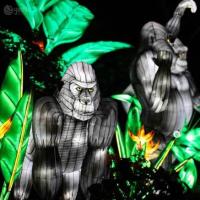 China Wholesale Animal Silk Lanterns - Orangutan & Chameleon Designs, Perfect for Park & Zoo Decorations for sale