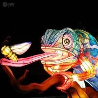 China Wholesale Animal Silk Lanterns - Orangutan & Chameleon Designs, Perfect for Park & Zoo Decorations for sale